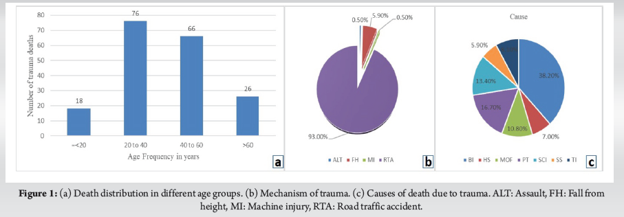 Temporal Patterns of Trauma Mortality and Causes of Death in a Level 1 ...