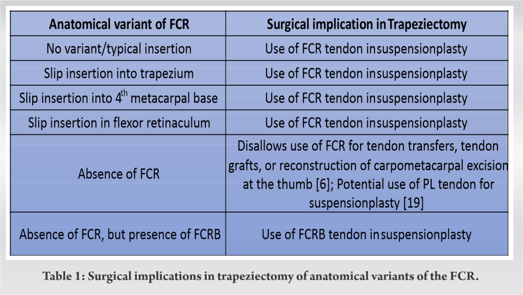Anomalous Flexor Carpi Radialis Tendons Giving Rise to a Novel Surgical ...