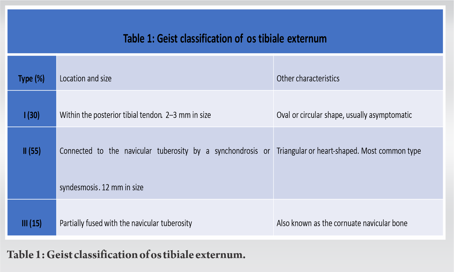Beyond the obvious: Exploring Os Tibiale Externum and Os Peroneum in ...